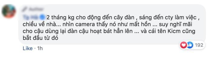 Mẹ nuôi tiết lộ ngày này 3 năm trước, nghệ danh K-ICM ra đời nhưng 'té ...