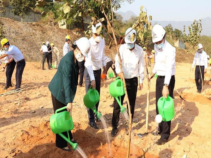 EVN phấn đấu trồng 1 triệu cây xanh - Báo Pháp Luật TP.HCM