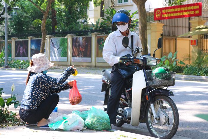Những cuộc mưu sinh trên cành sấu ngày hè - Báo Đại Đoàn Kết