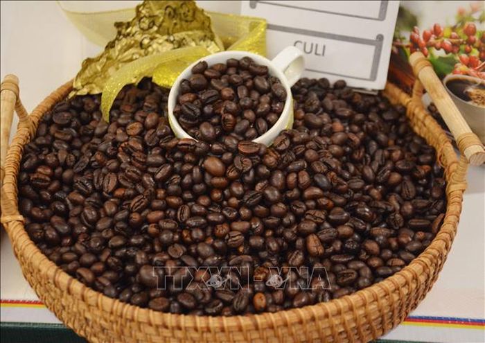 Giá gạo xuất khẩu giảm, kéo giá lúa trong nước đi xuống - Báo Tin Tức TTXVN