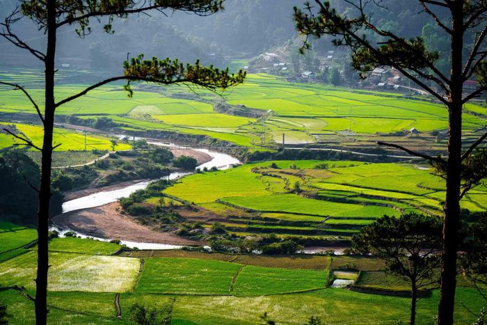 Về Kon Tum, ngắm hoàng hôn tại đồi cỏ làng Kon Vơng Kia - Chuyên trang ...