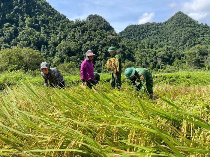 Đồn Biên phòng Cà Xèng giúp đồng bào Rục giữ mùa vàng sau bão - Đại ...