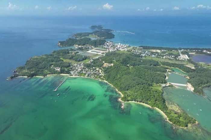 Giữ màu xanh biển đảo cho phát triển bền vững - Thời báo Tài chính