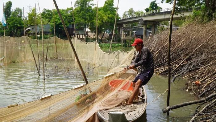 Theo chân ngư dân Đồng Tháp vào mùa dỡ chà bắt cá - Báo VietnamPlus