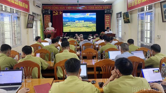 Triển khai chính sách chi trả dịch vụ môi trường rừng gắn với công tác ...