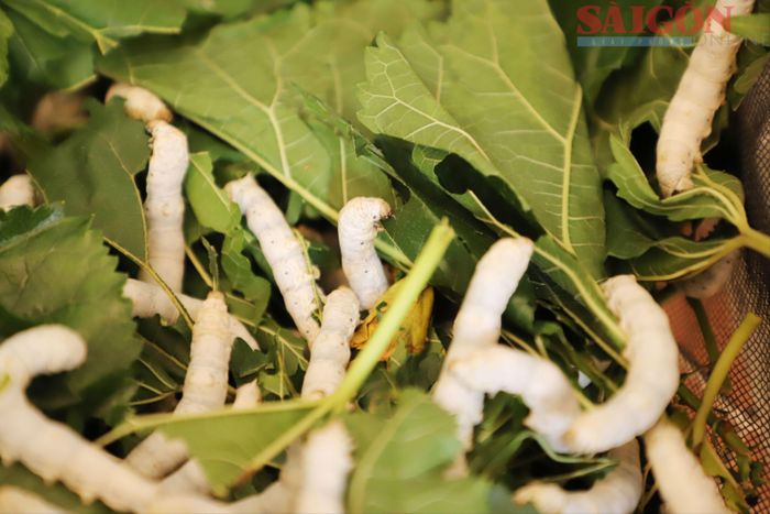 Khám phá nghề trồng dâu, ươm tơ vùng đất Nam Ban Lâm Hà - Báo Sài Gòn ...