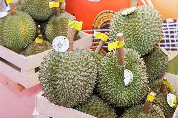 Trái cây ASEAN hội tụ tại Quảng Tây (Trung Quốc) - Báo Thế Giới & Việt Nam