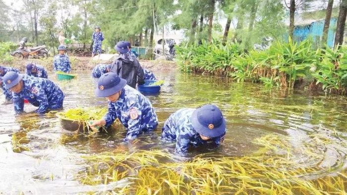 Nâng cao hiệu quả phòng ngừa, ứng phó thiên tai - Báo Nhân Dân